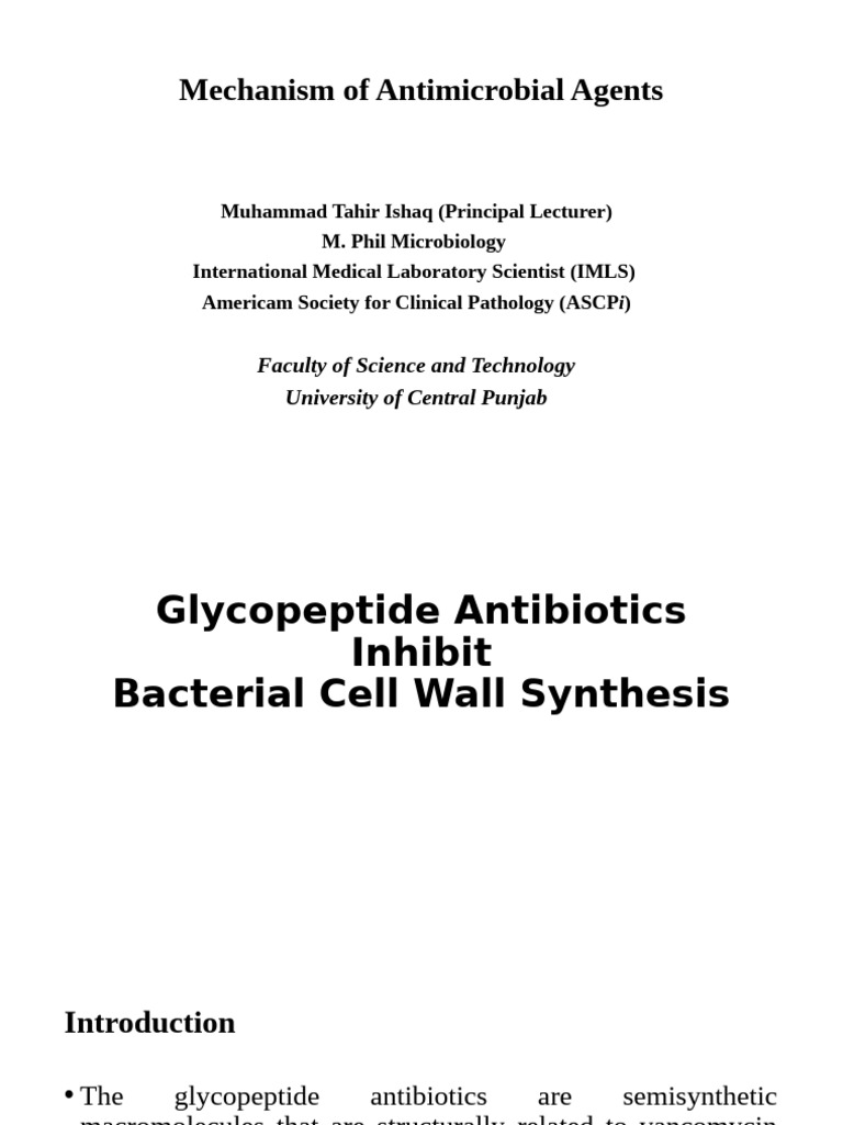 Antibiotics Inhibit Bacterial Cell Envelope and Translation 1 | PDF ...