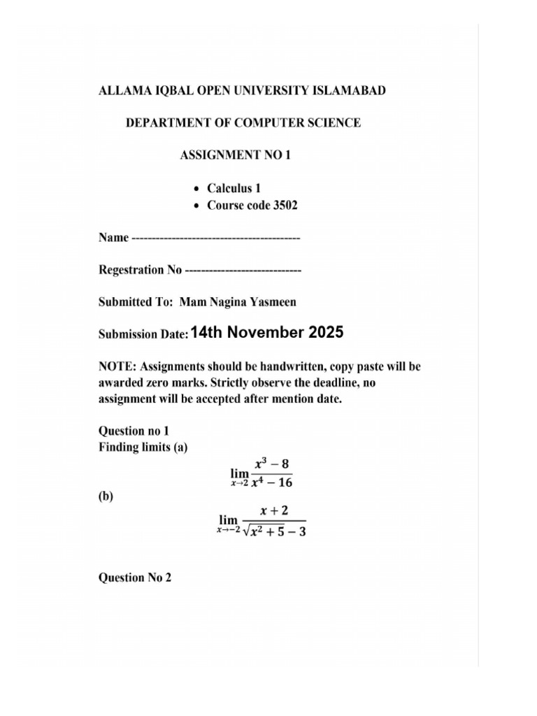 Calc Assignment 01_organized-1 | PDF