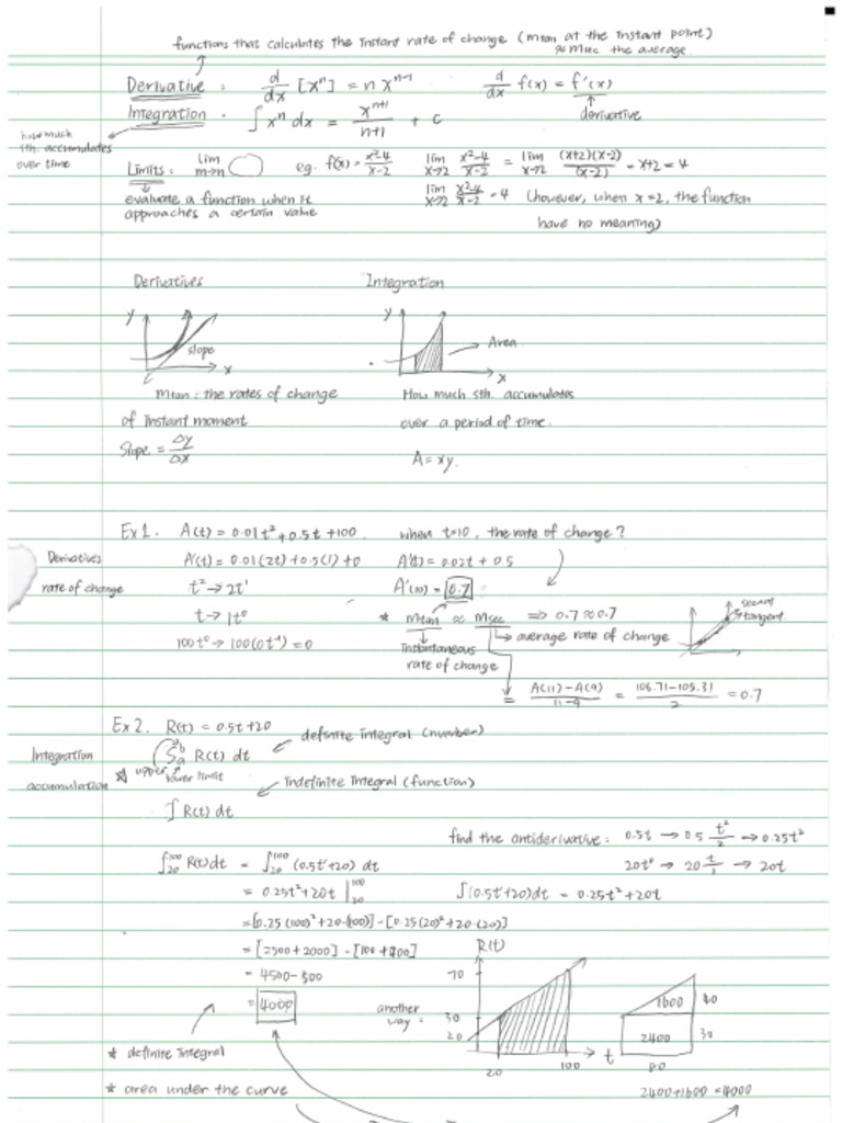 Calculus1 Final Version | PDF
