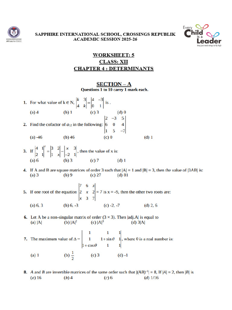 Class XII Determinants Worksheet 2025-26 | PDF