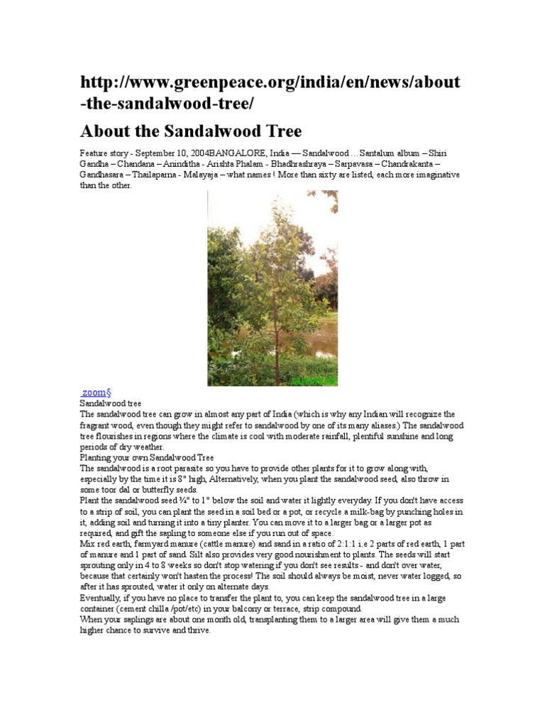 The-Sandalwood-Tree/ About The Sandalwood Tree: Zoom | PDF | Trees | Soil