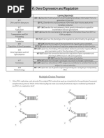 Phylogeny Practice AP Questions - KEY | PDF