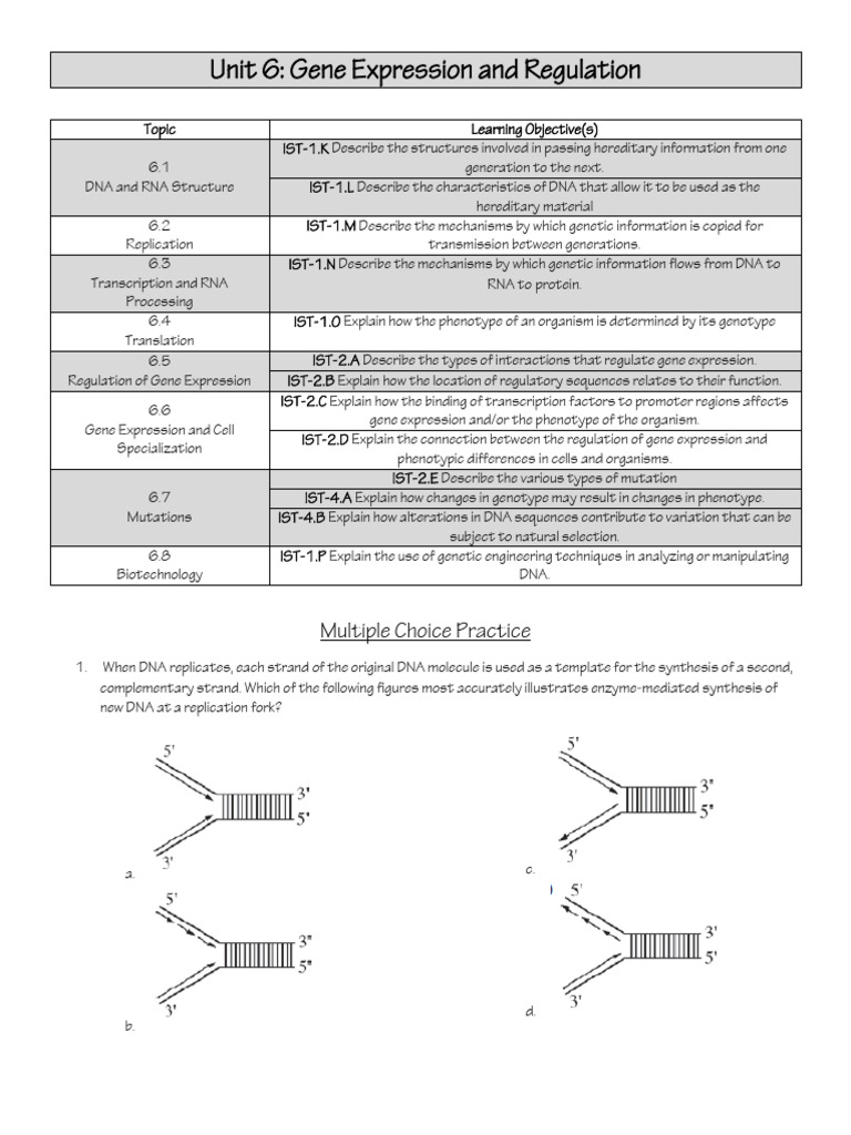 Unit 6 Multiple Choice Practice | PDF | Operon | Repressor