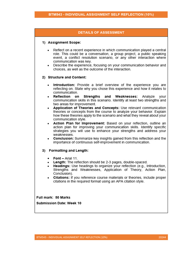 Btm543 Individual Self Reflection Guideline | PDF