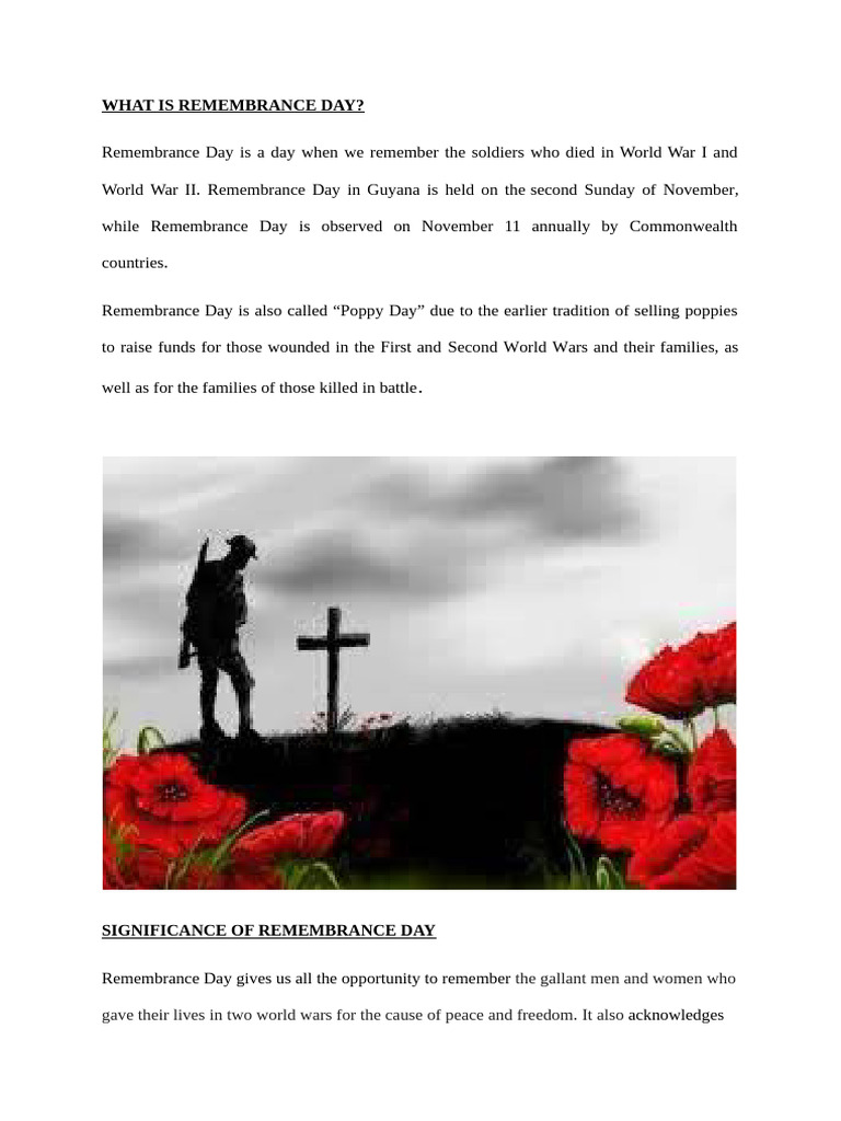 What Is Remembrance Day | PDF