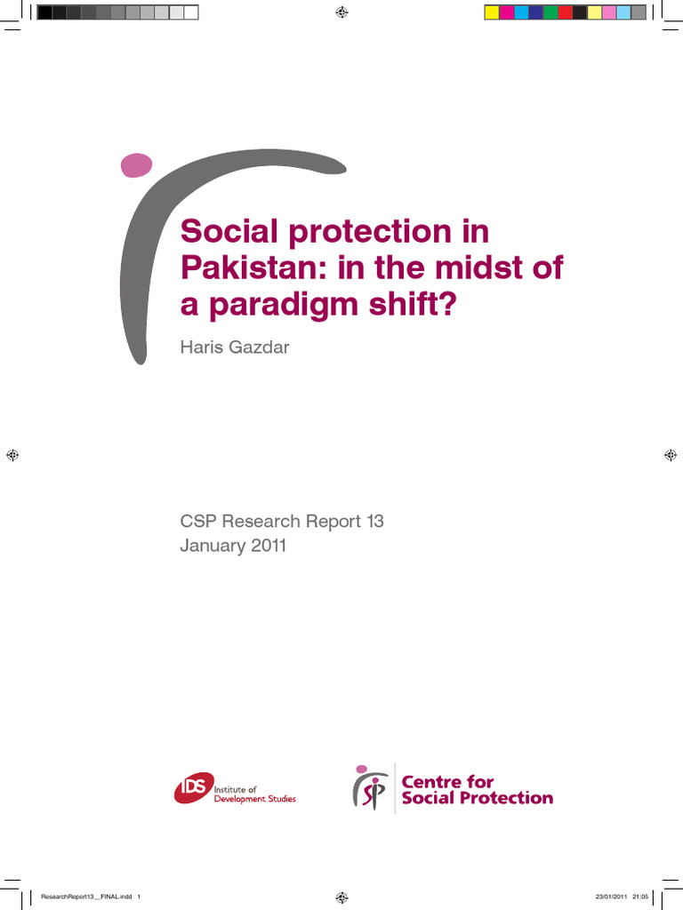 Social Protection Paradigm Shift in Pakistan | PDF | Social Protection ...