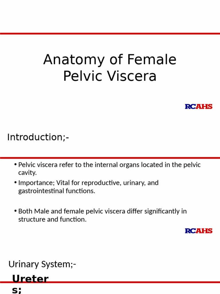 Anatomy of Female Pelvic Viscera UNLOCK | PDF | Uterus | Vagina