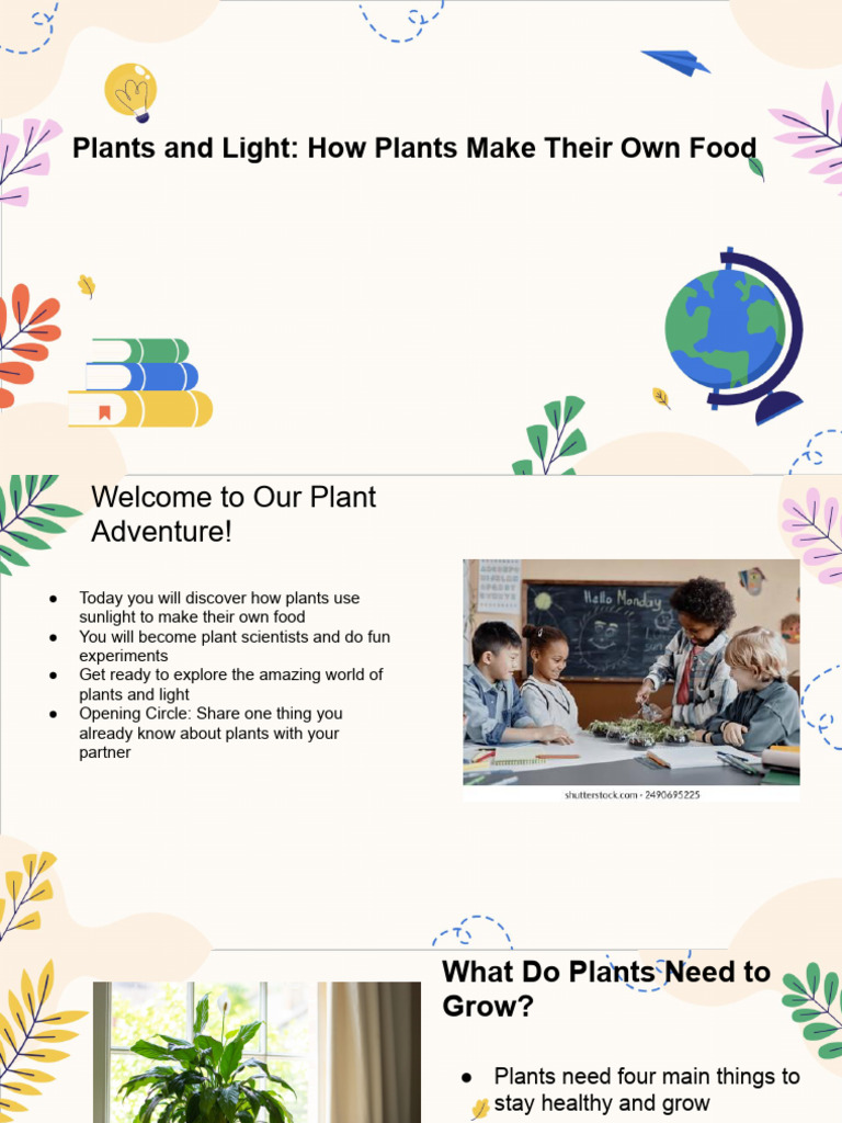How Plants Use Light for Food | PDF