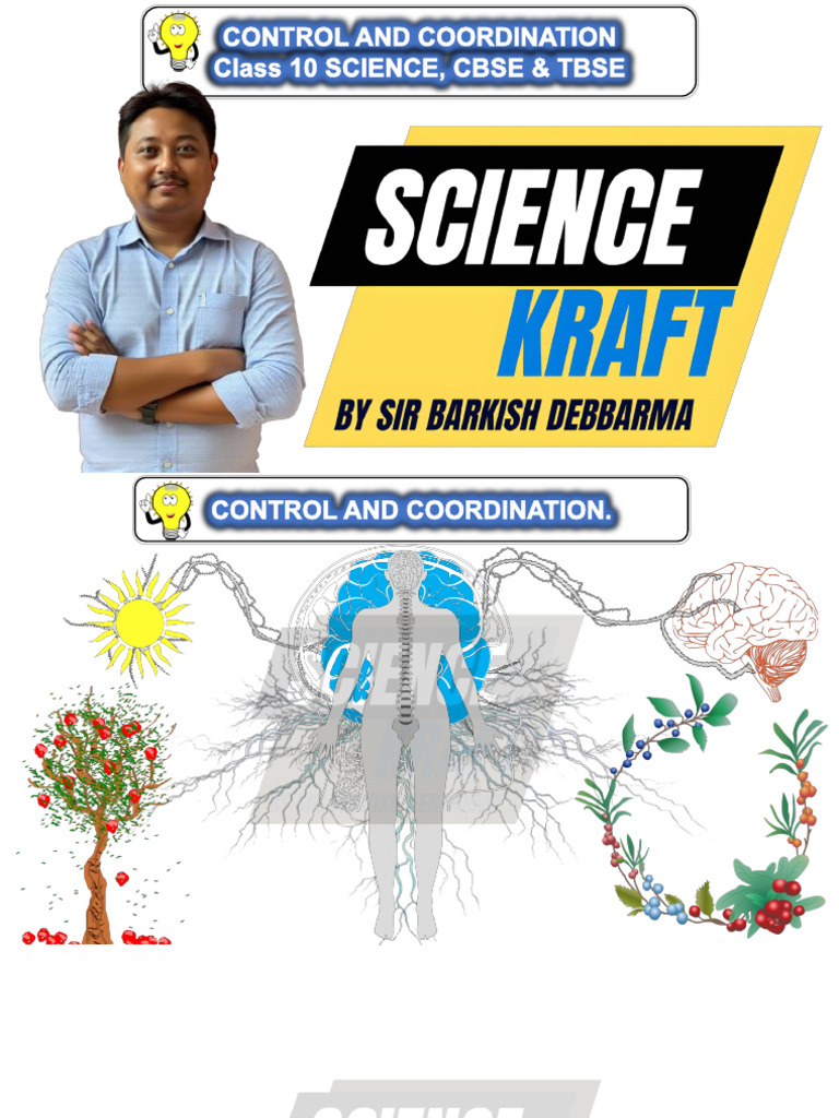 Control and Coordination Note | PDF | Nervous System | Neuron