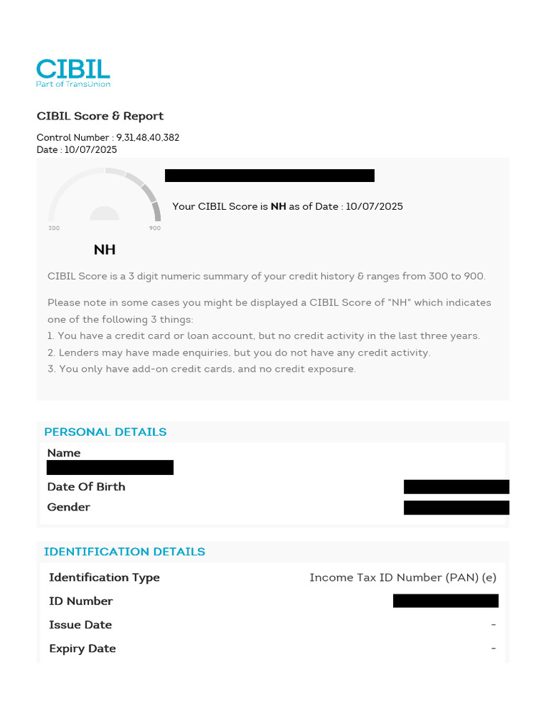 Understanding Your CIBIL Score NH | PDF | Credit History | Credit