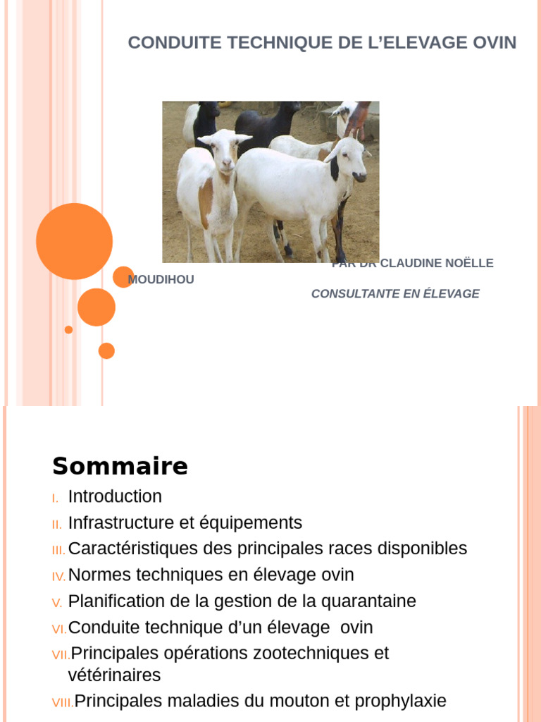Guide complet de l'élevage ovin | PDF | Mouton