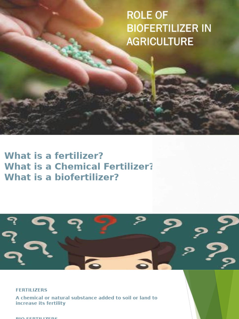 ROLE of Biofertilizer | PDF | Fertilizer | Soil