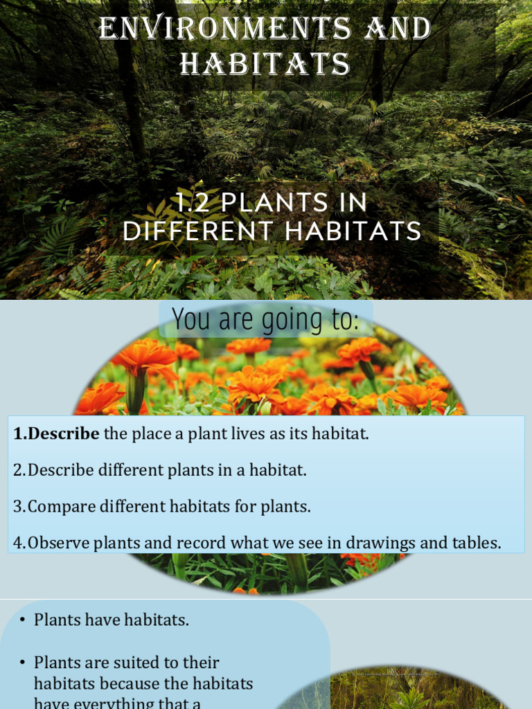 Plants and Its Habitats | PDF | Habitat | Plants