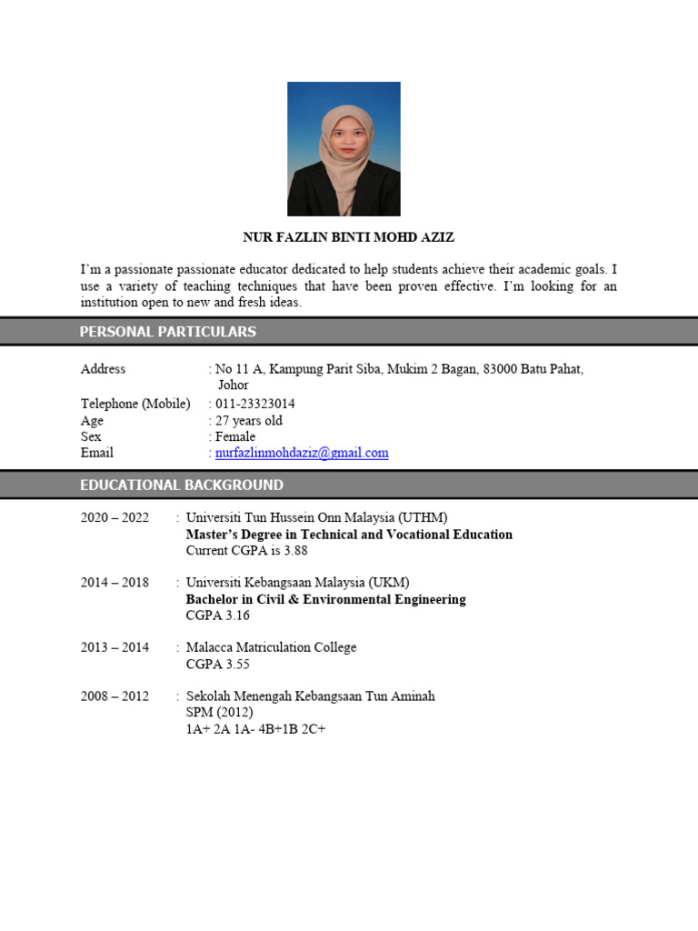 CV_nur Fazlin Mohd Aziz | PDF