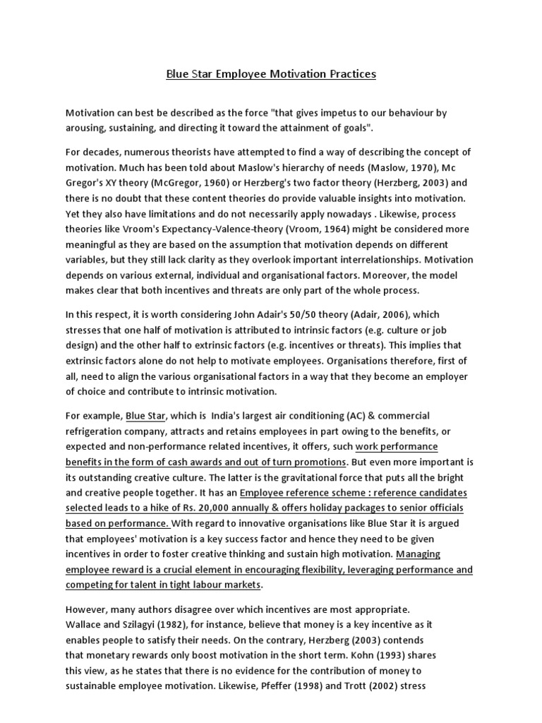 Blue Star Employee Motivation Practices | PDF | Motivation | Motivational