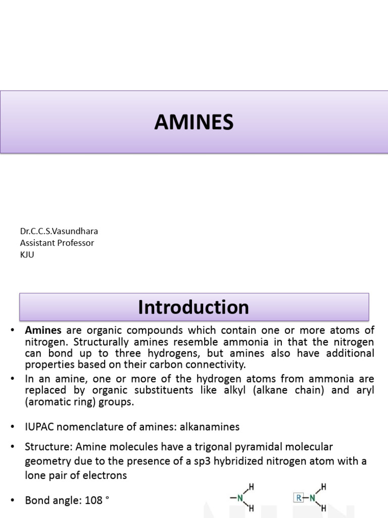 Comprehensive Guide to Amines | PDF | Amine | Amide