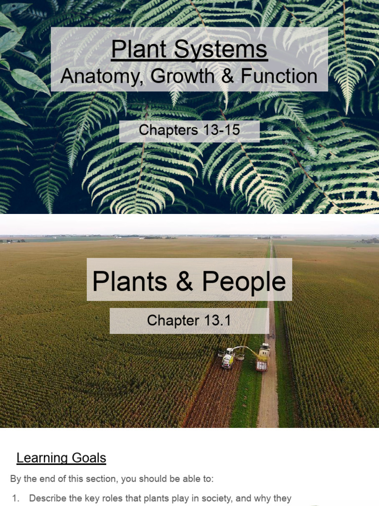 Intro to Plant Anatomy, Growth & Function | PDF | Disturbance (Ecology ...