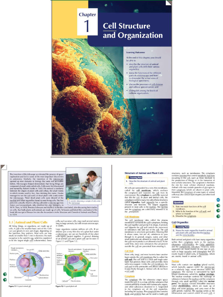 Bio Ch1 | PDF