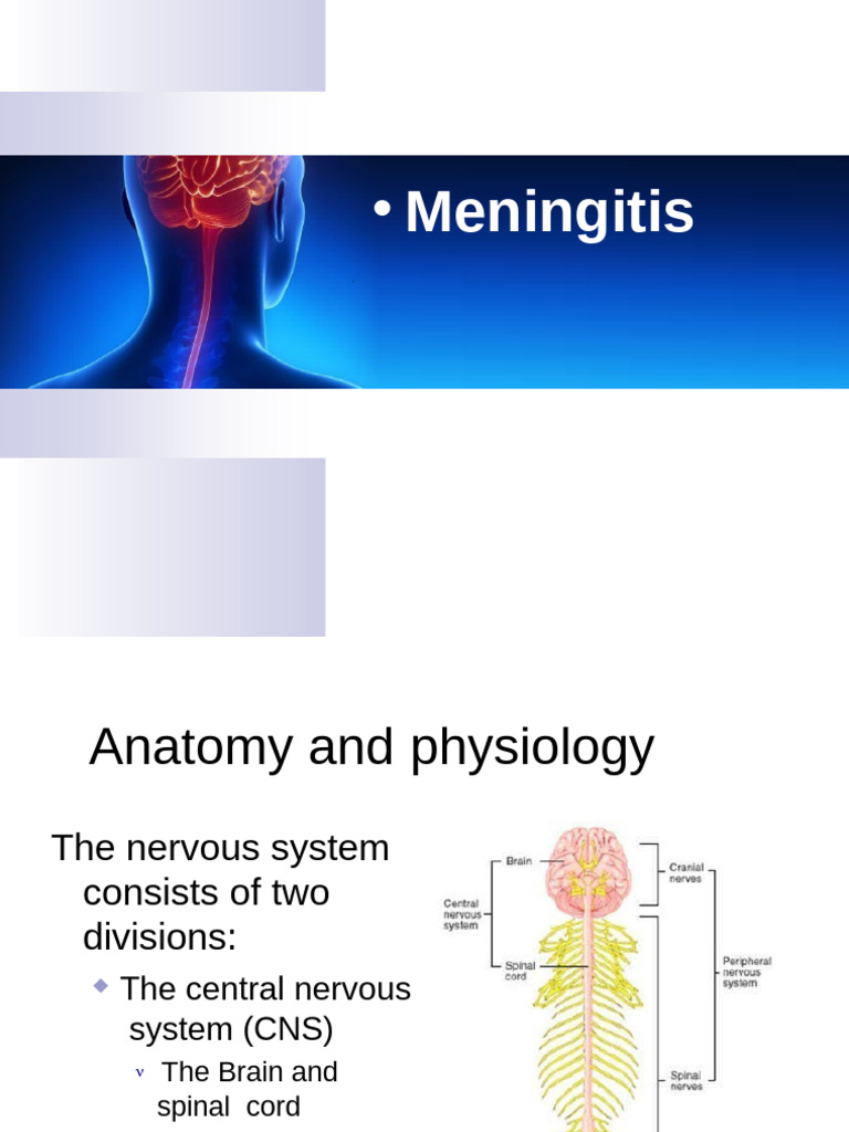 Meningitis Pdf Central Nervous System Meningitis