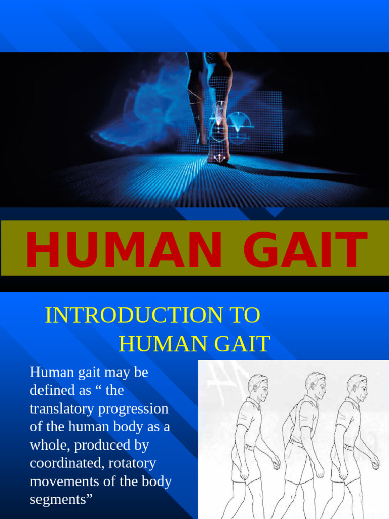 Biomechanics of Human Gait | PDF | Animal Locomotion | Biomechanics