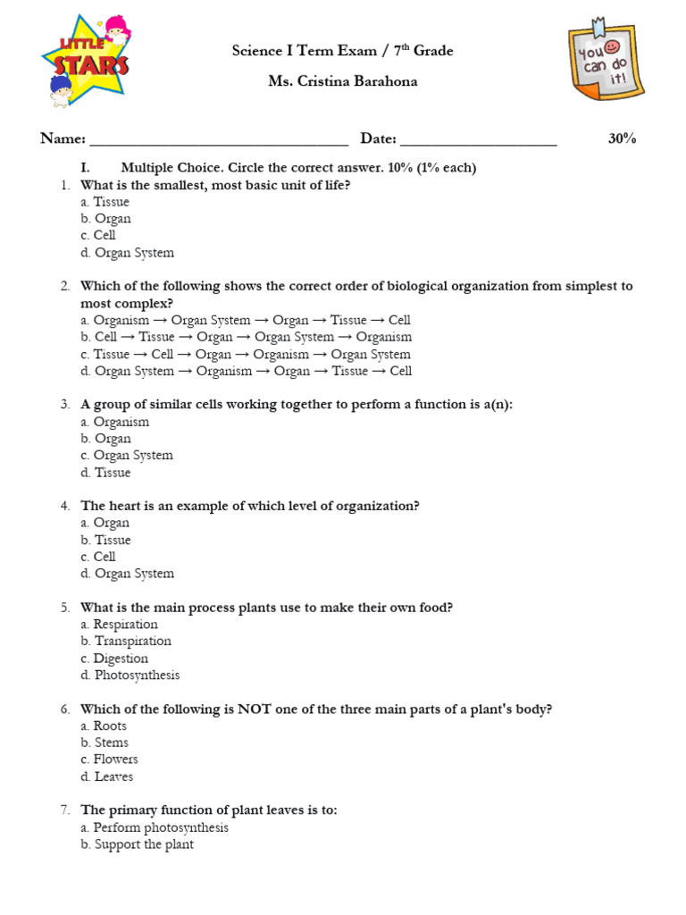 7th Grade Science Exam: Life Organization | PDF | Plants | Leaf