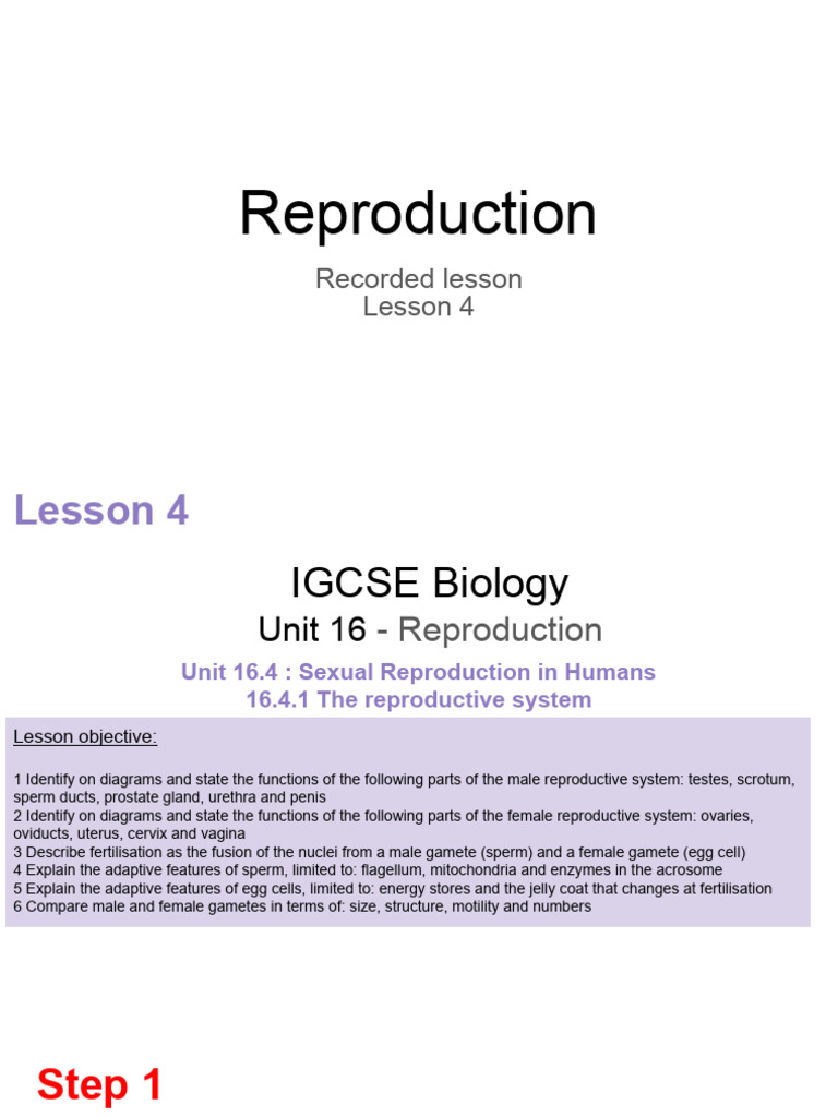 Lesson 4 16.4.1 Reproductive System in Humans (Recorded Lesson) | PDF ...