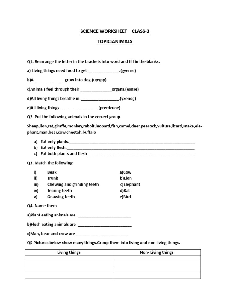 Class 3 Science6 | PDF