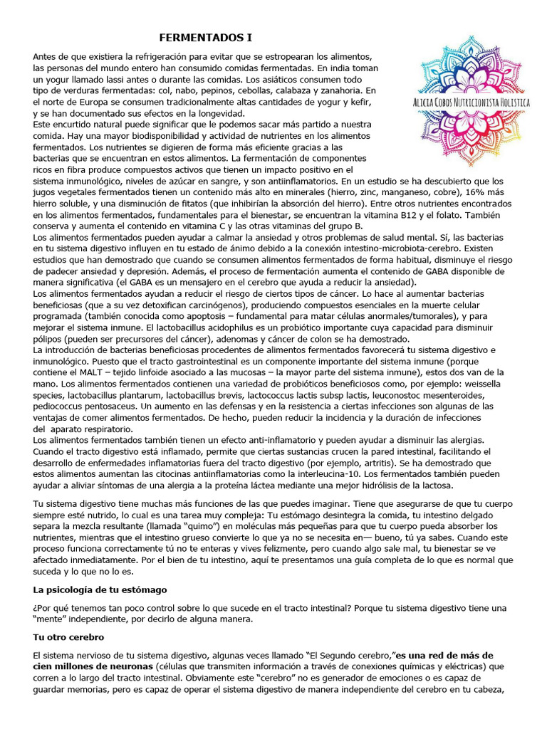Fermentados I | PDF | ensalada