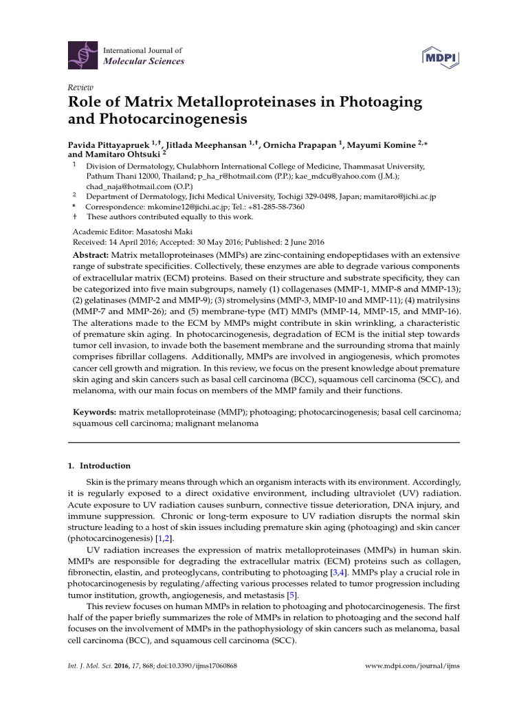Photoaging and Photocarcinogenesis | PDF | Extracellular Matrix | Skin ...