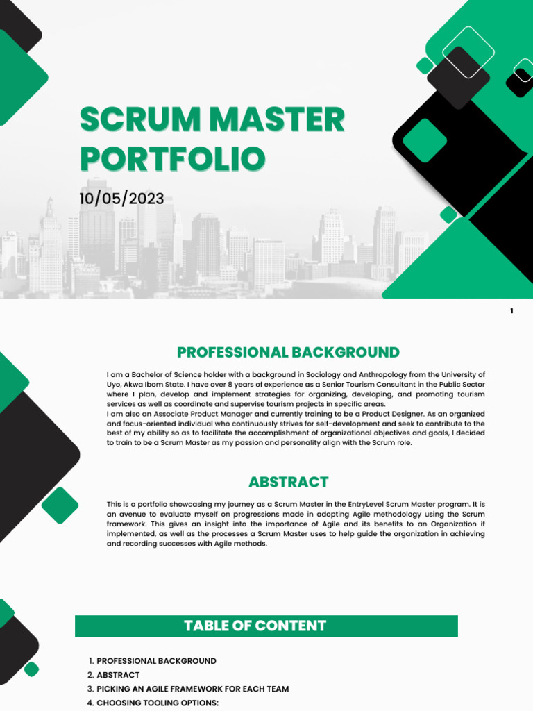 Scrum Portfolio Sample | PDF | Agile Software Development | Scrum ...