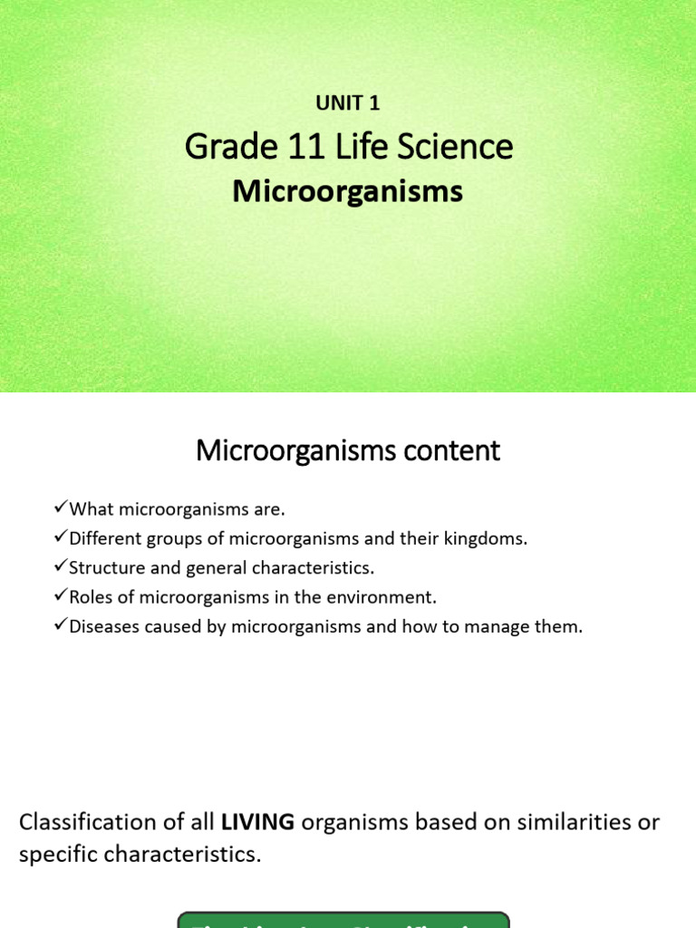 Grade 11 Life Science: Microorganisms Overview | PDF | Tuberculosis ...