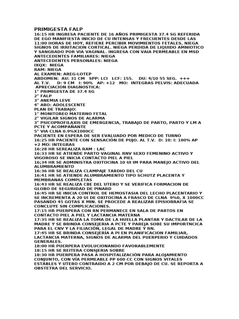 Parot | PDF