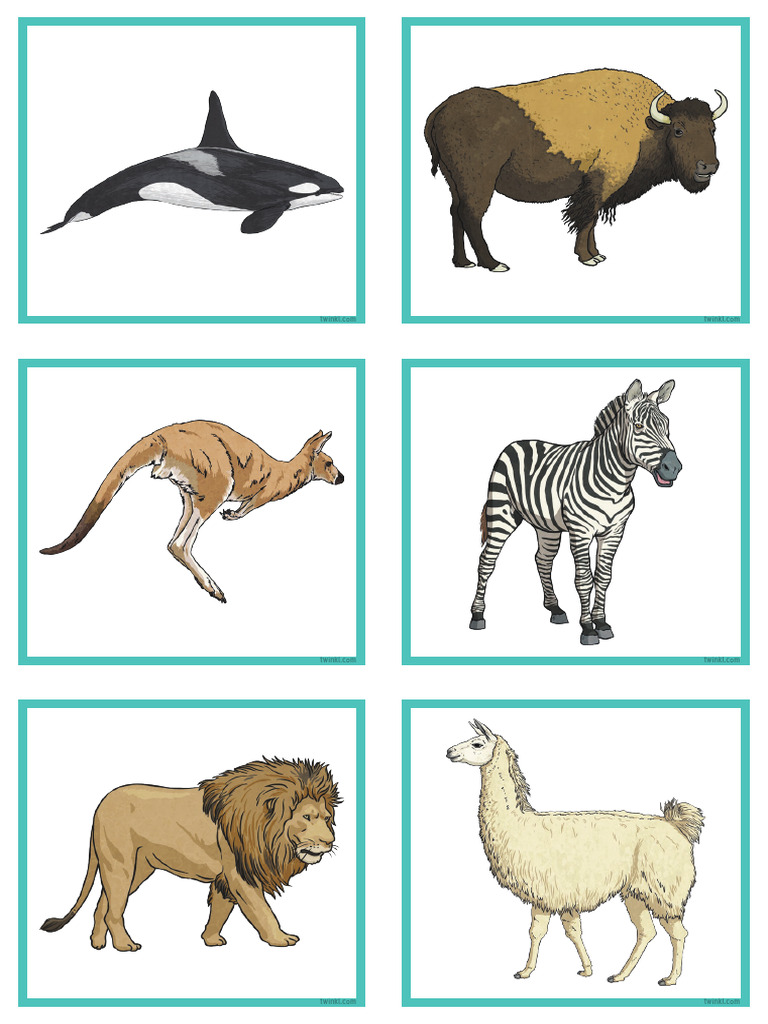 Animals Memory Match Game Cards | PDF