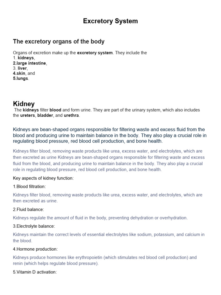 1 Excretory System C 1 | PDF | Kidney | Organ (Anatomy)