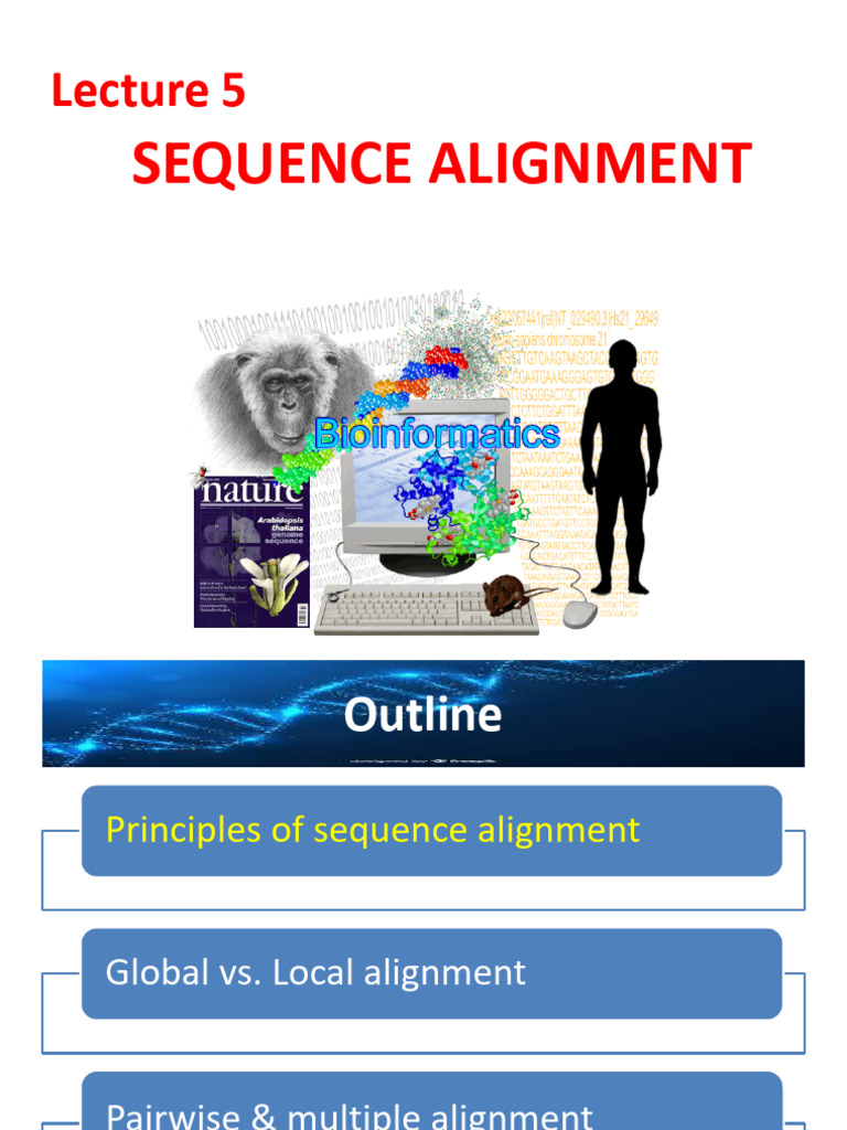 BI L5 Sequence Alignment 1 Slide(1) | PDF | Sequence Alignment | Nucleic Acid Sequence