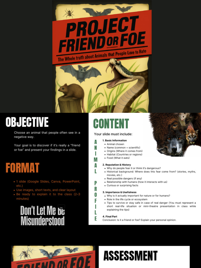 Sa2. Friend or Foe Project | PDF | Communication | Human Communication
