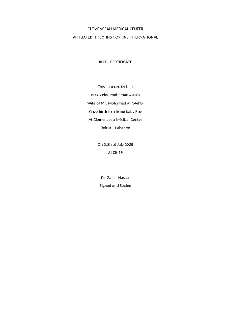 Birth Certificate for Zeina Awala's Son | PDF