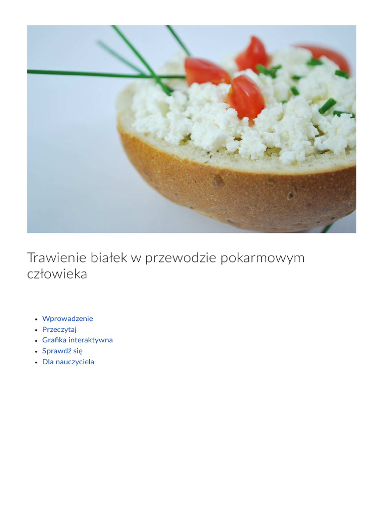 Trawienie Bialek w Przewodzie Pokarmowym Czlowieka | PDF