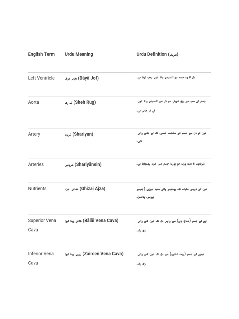 Asasas | PDF
