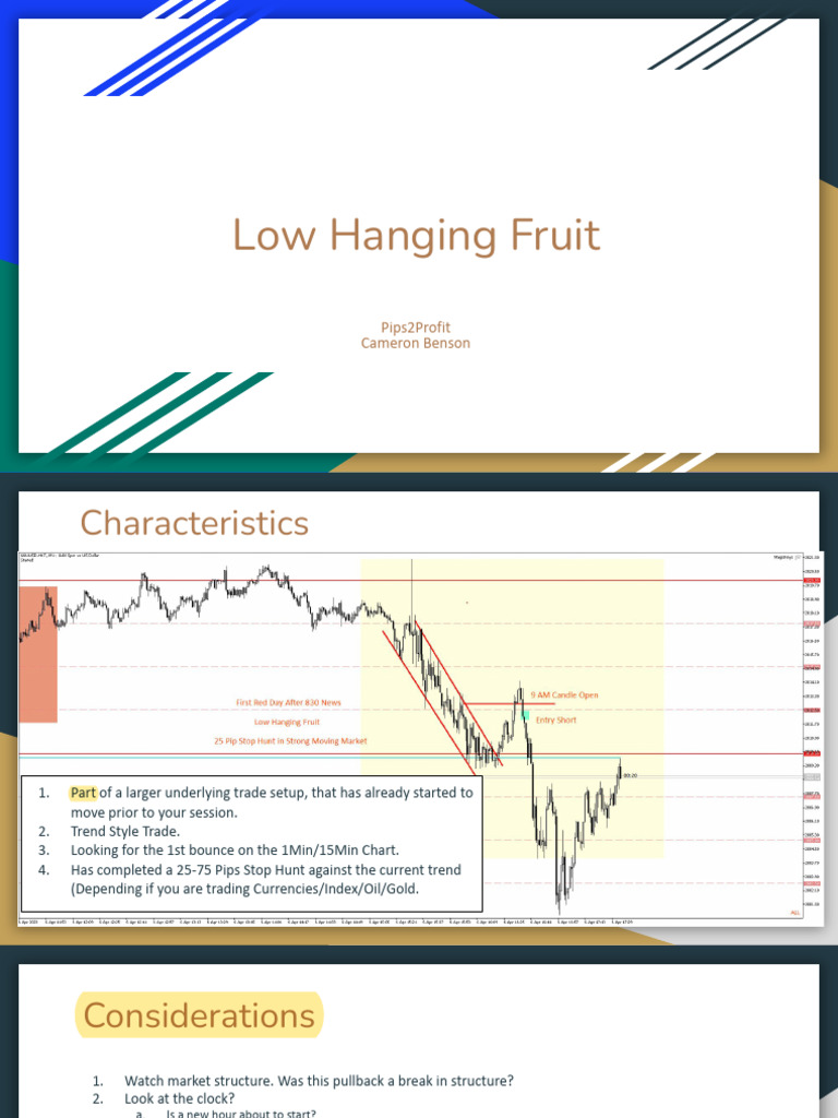 5 Low Hanging Fruit | PDF