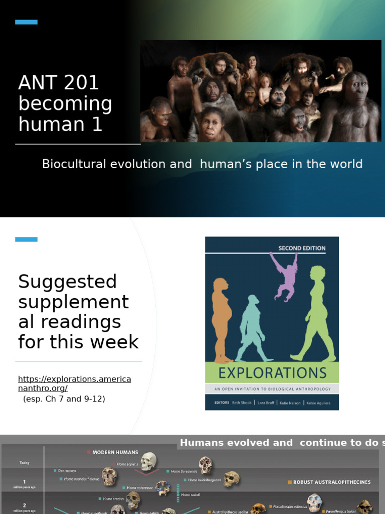 ANT 201 Becoming Human 1 (1) | PDF | Natural Selection | Genetics