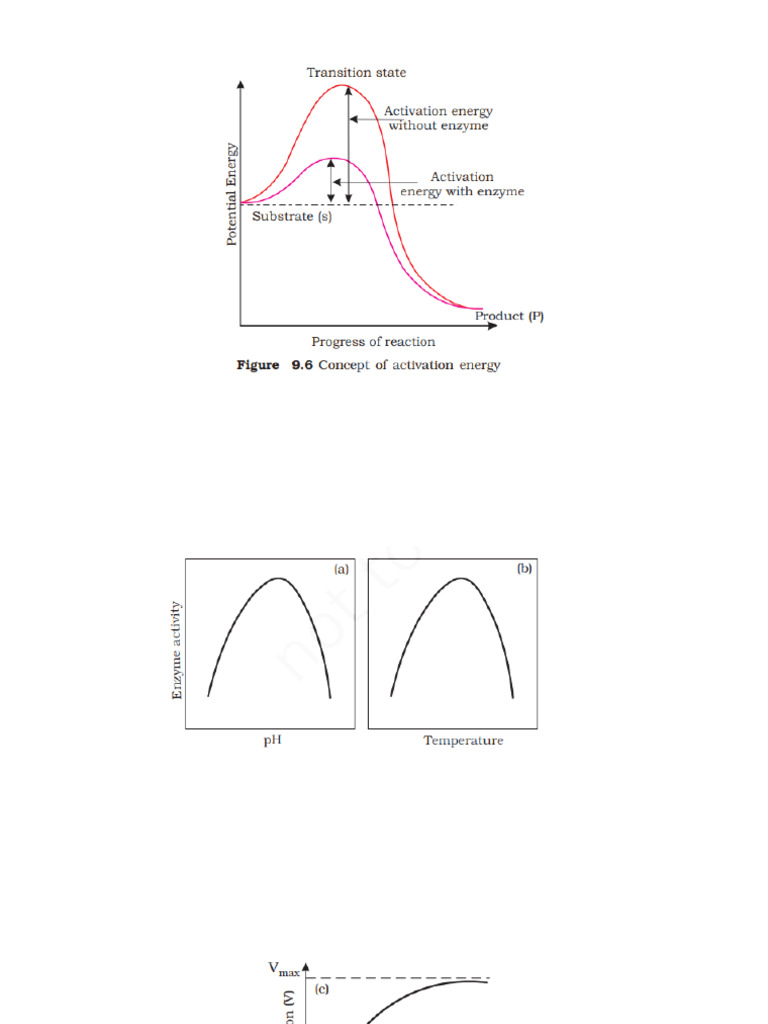 All Graphs of Biology Ncert | PDF