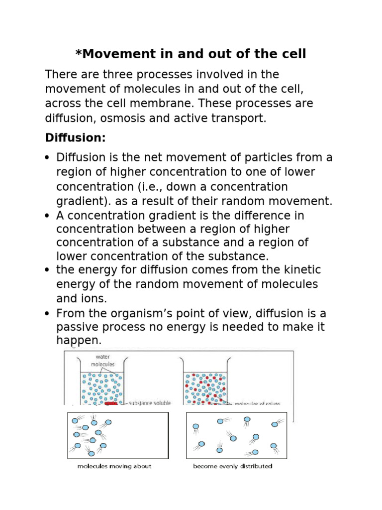 Cell Membrane Transport Processes | PDF | Osmosis | Diffusion