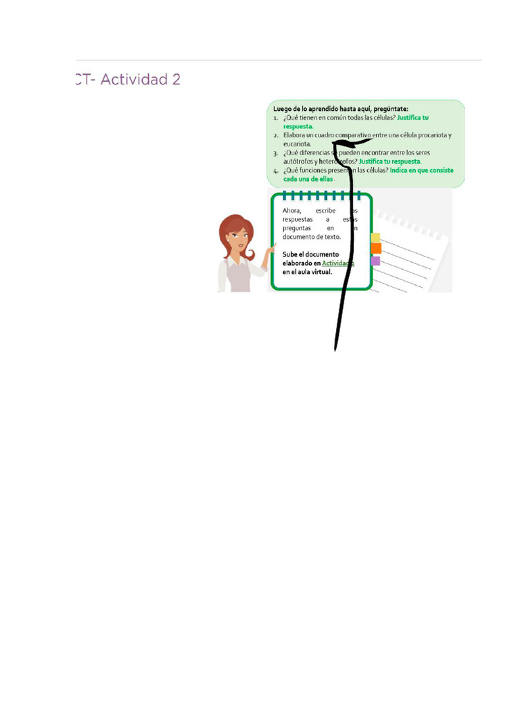 Hola | PDF