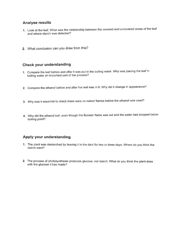 Shifa Fatima - Practical Questions | PDF