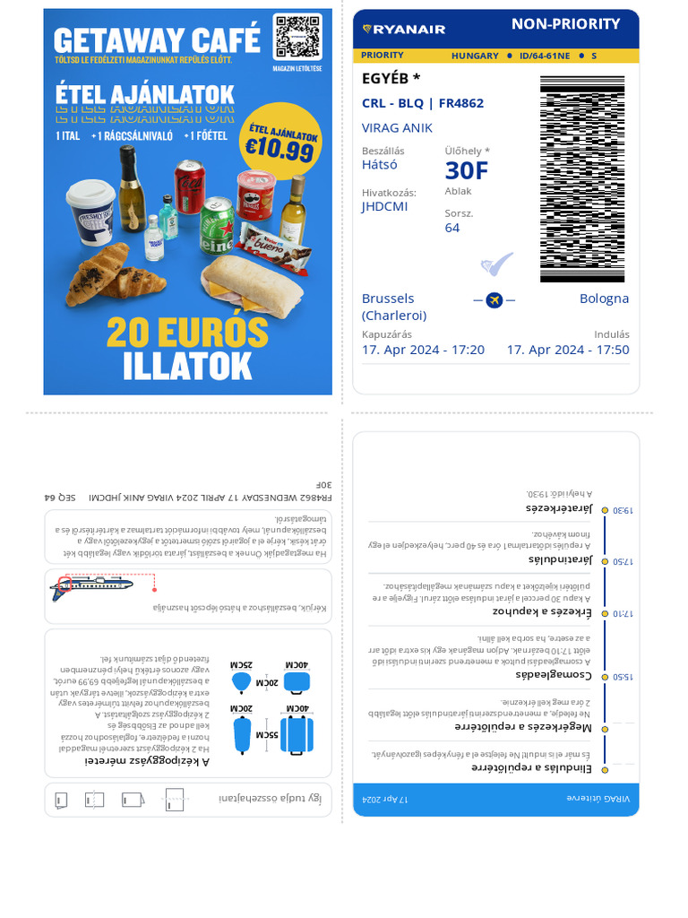 Boarding Pass (1) | PDF