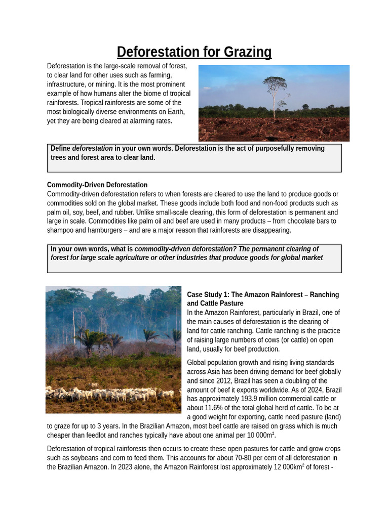 Human Alteration & Impacts On Tropical Rainforests | PDF ...
