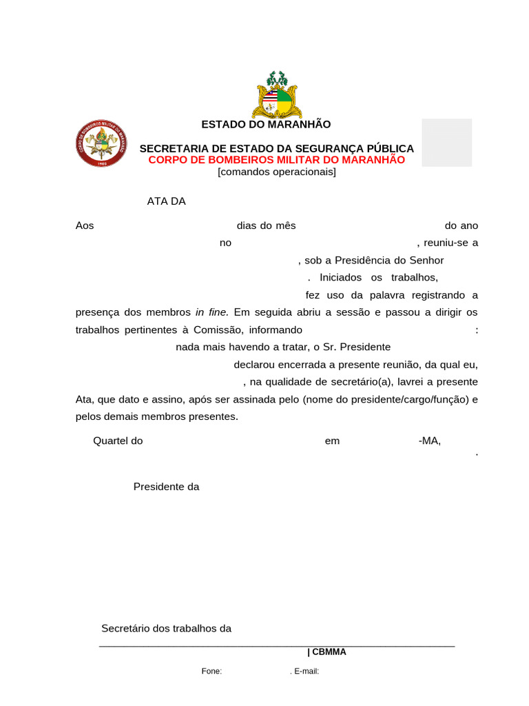 01 Modelo de Ata | PDF