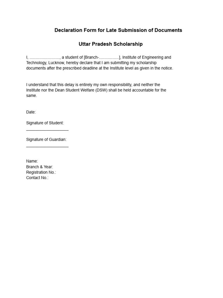 Application For Late Submission | PDF