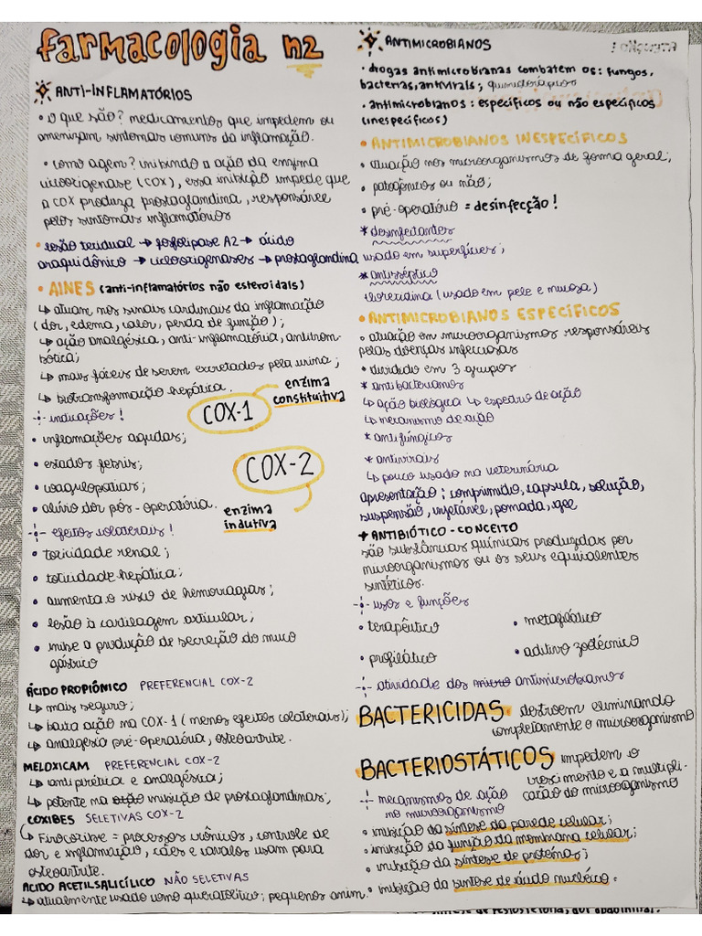 Resumo N2 Farmaco | PDF